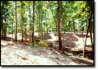 A tribute to Patsy Cline